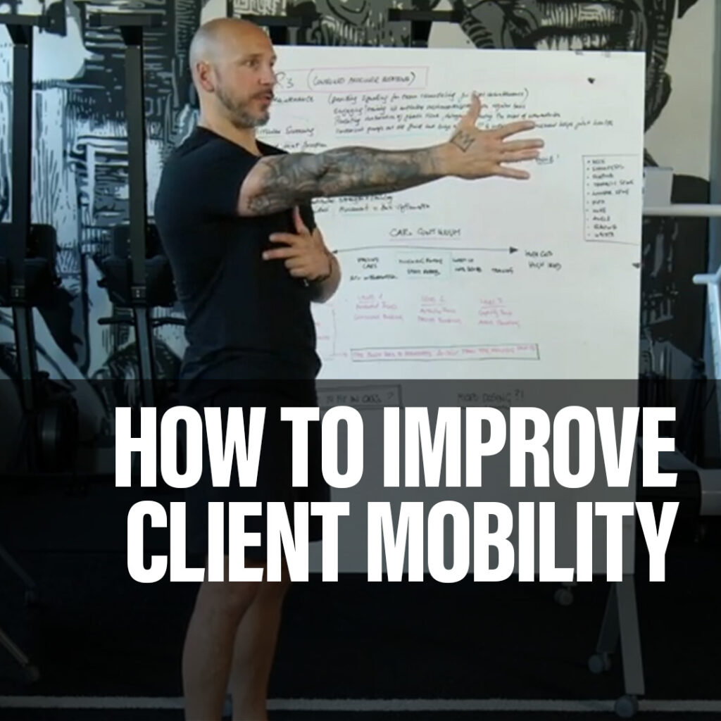 Workshops - Luka Hocevar